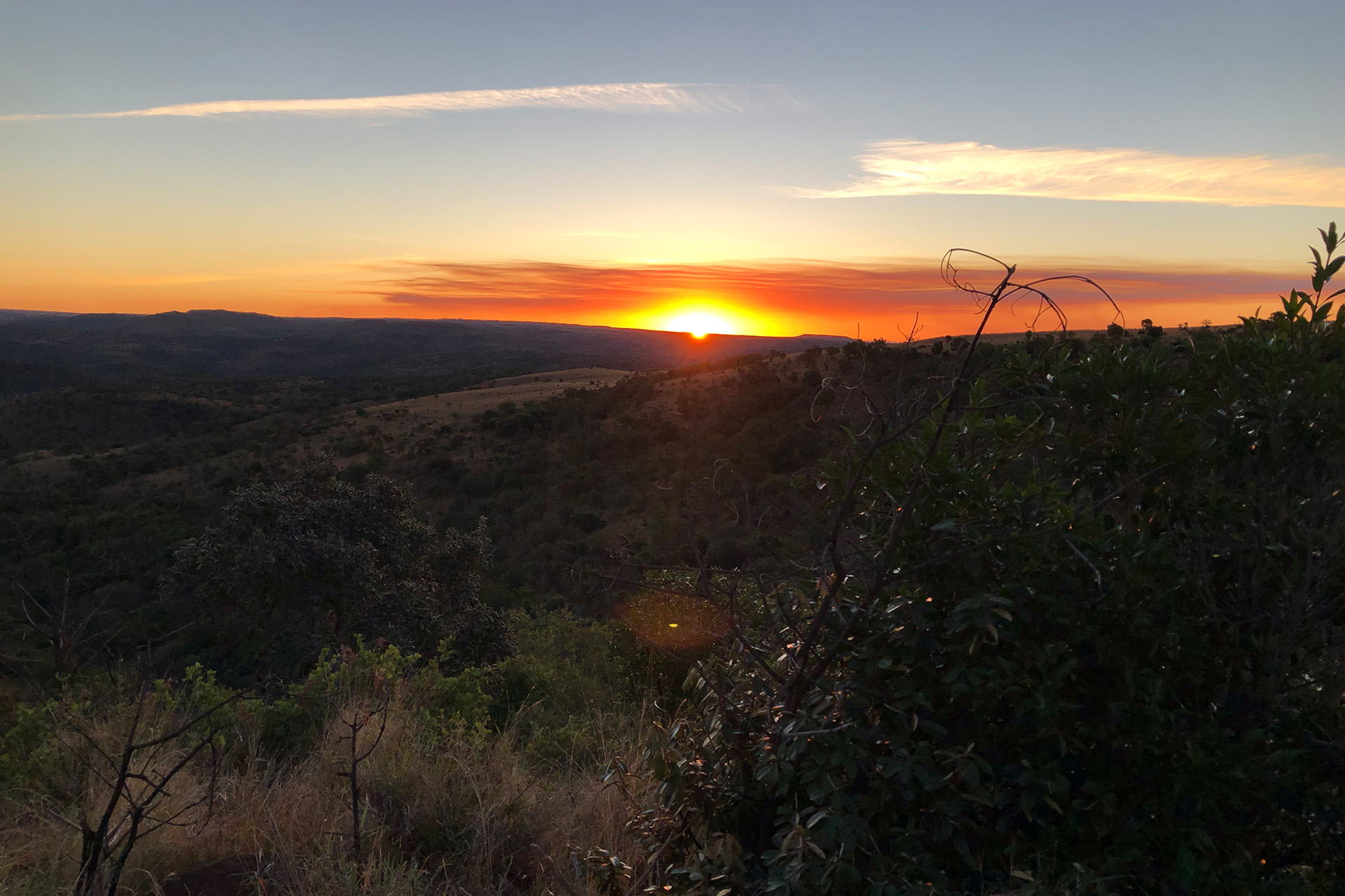 Gallery | Omega Game Farm