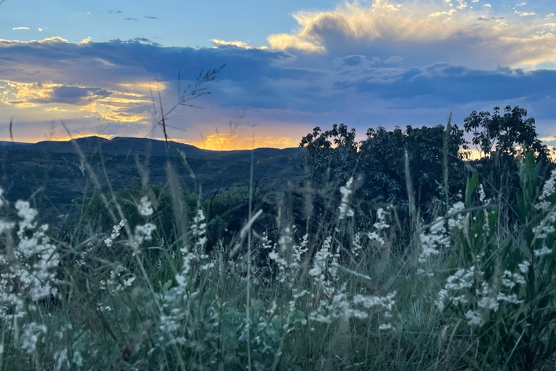 Gallery | Omega Game Farm