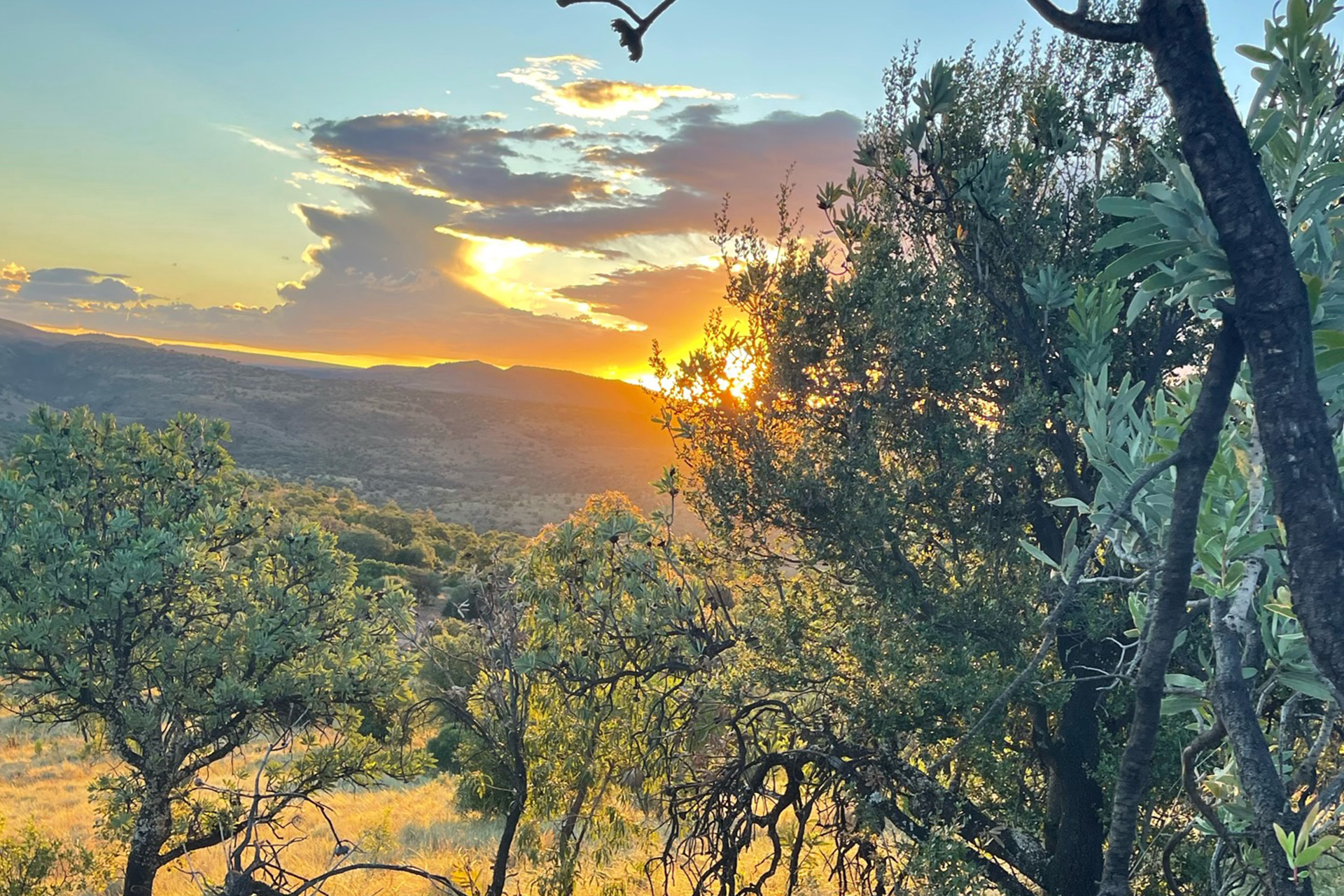 Gallery | Omega Game Farm