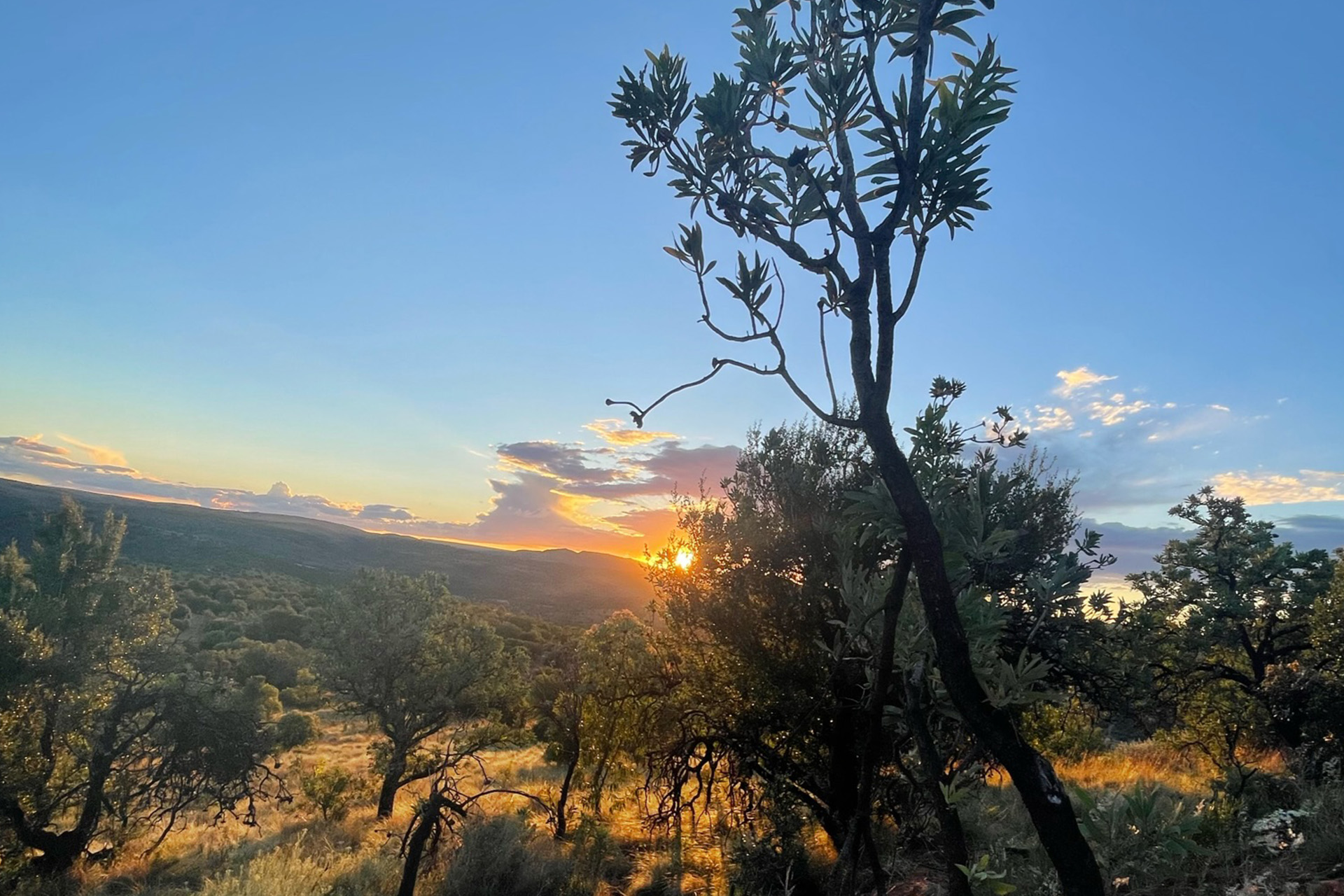 Gallery | Omega Game Farm