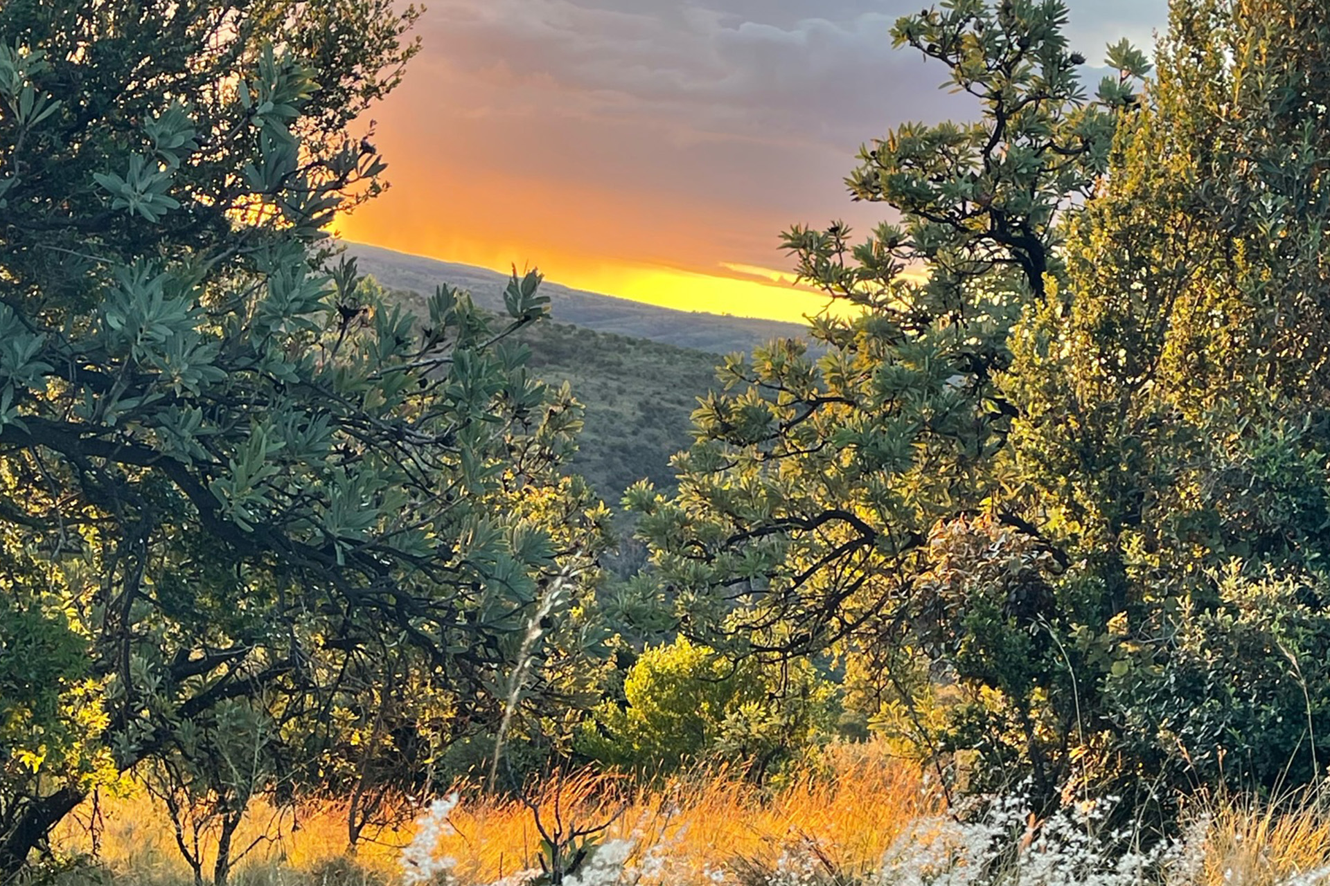 Gallery | Omega Game Farm