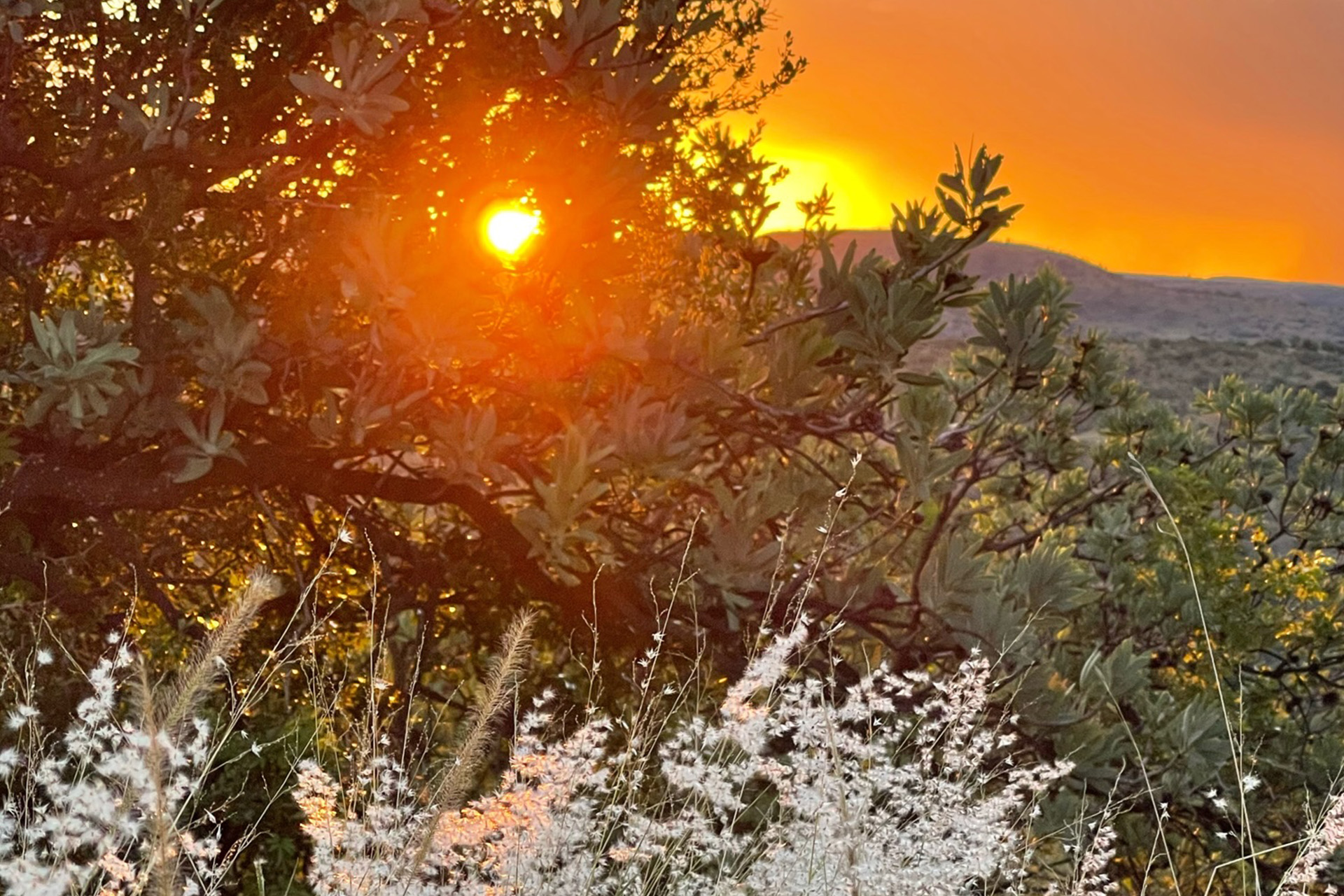 Gallery | Omega Game Farm