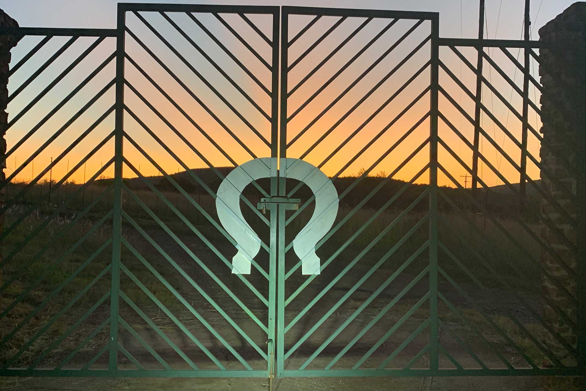 Gallery | Omega Game Farm