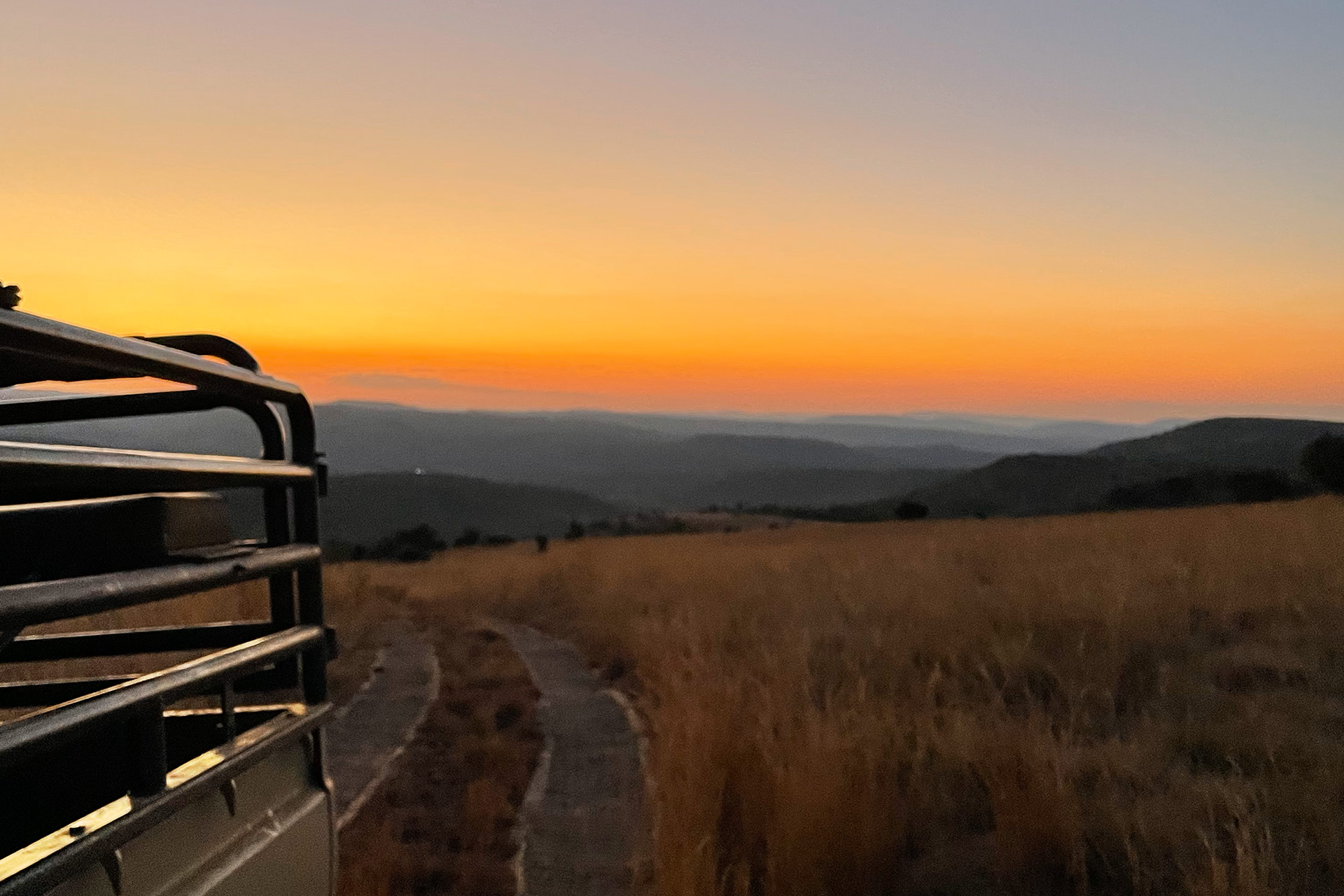 Gallery | Omega Game Farm